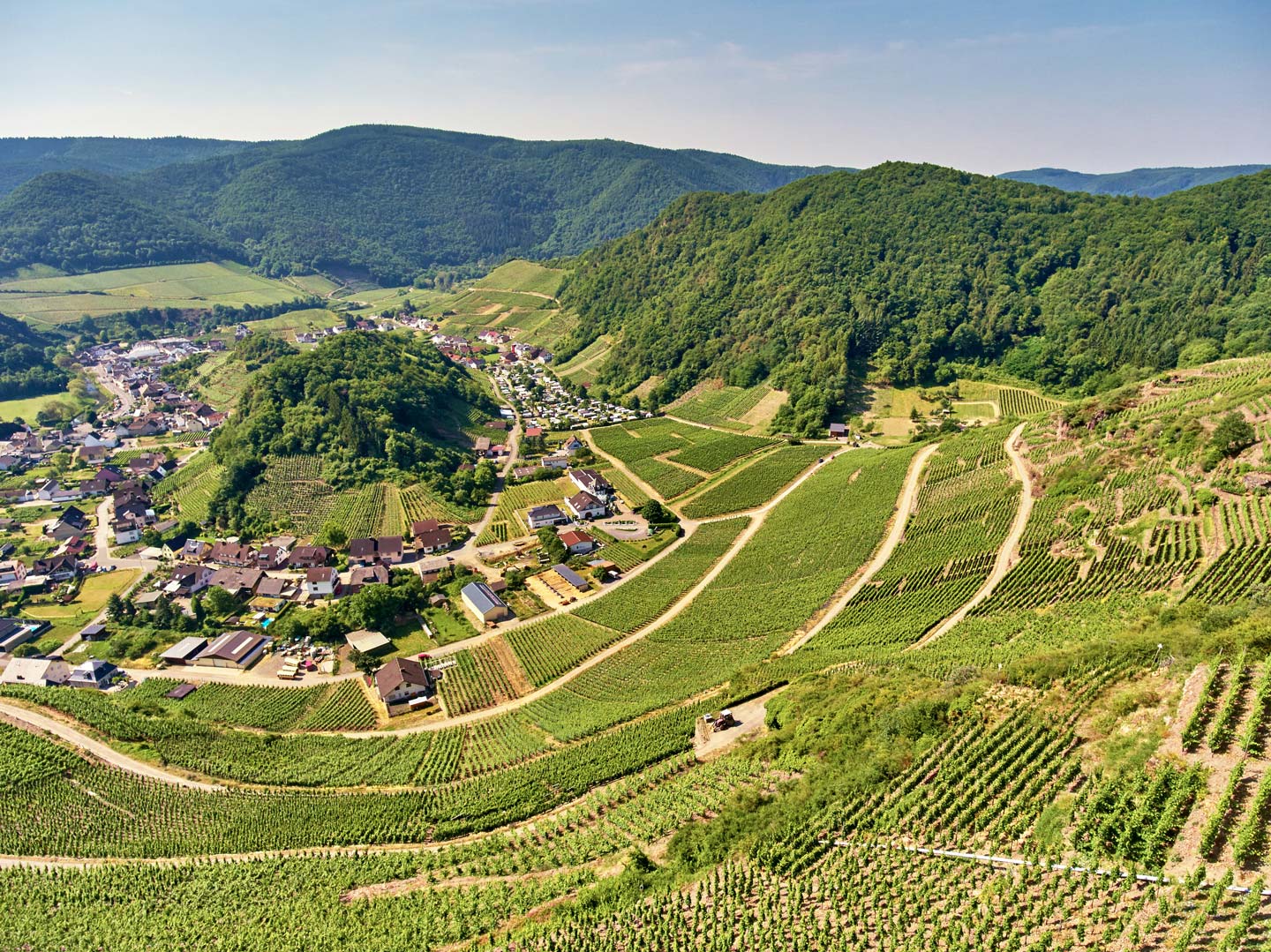 Weingut - Weingut Deutzerhof - Mayschoss Ahr | Wein Online-Shop | VDP